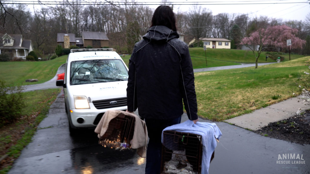 Case Study: St. Lawrence Rabies Case - Animal Rescue League of Berks County