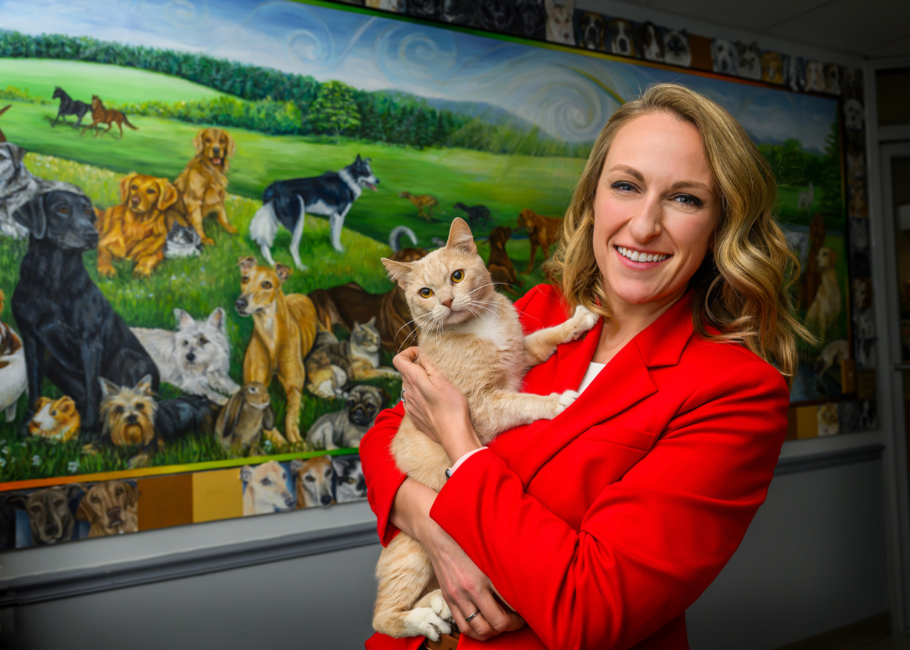 Leadership Corner - A Veterinary Crisis Looms Heavy Throughout Animal ...