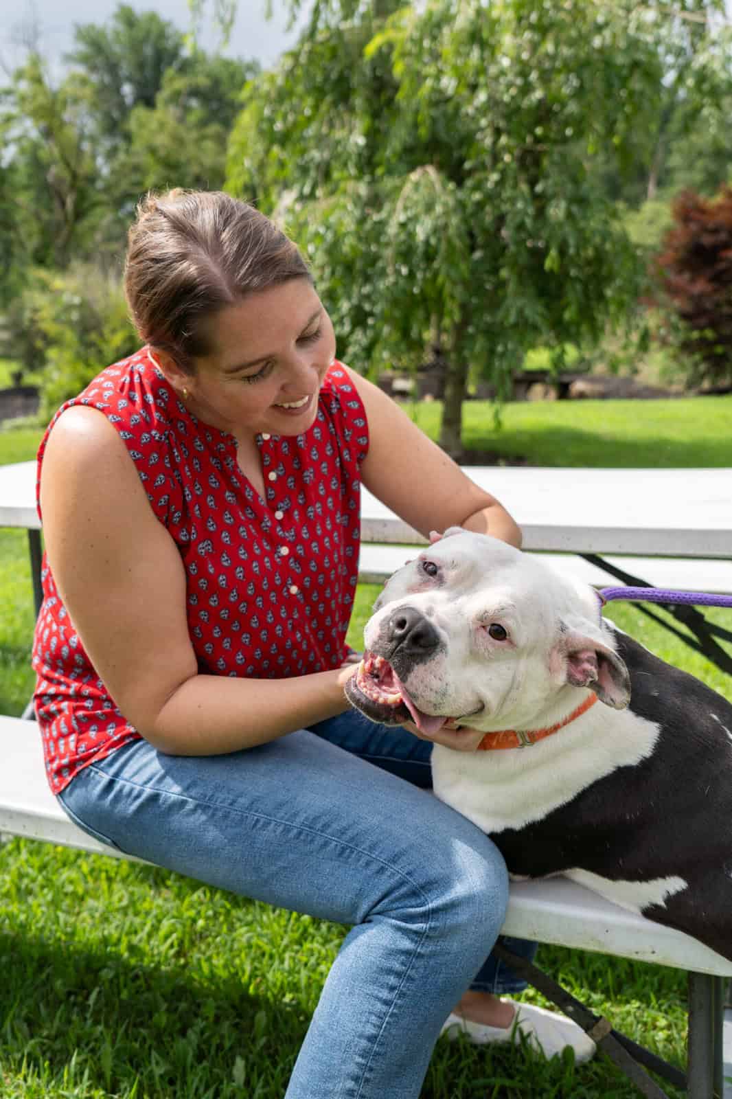 Staff Spotlight: Stacey - Animal Rescue League of Berks County