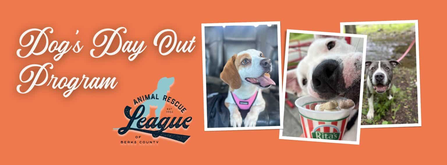 Dog's Day Out - Animal Rescue League of Berks County